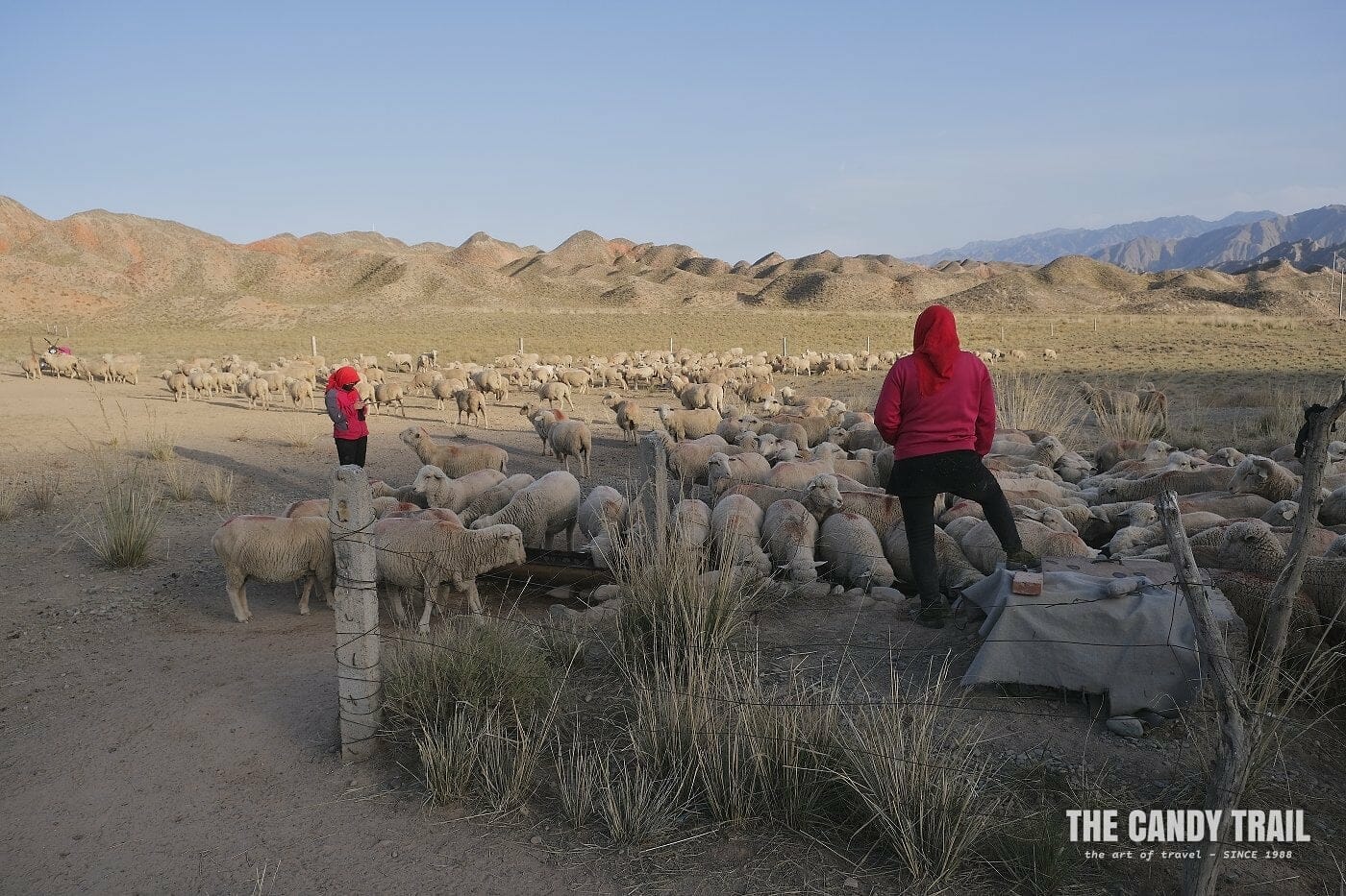 Yugur Nomads of China's Desert Mountains