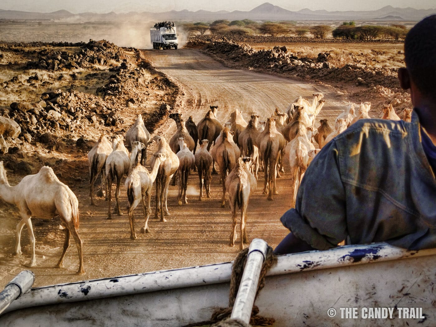 How to Hitchhike - Expert Travel Advice for Backpacking