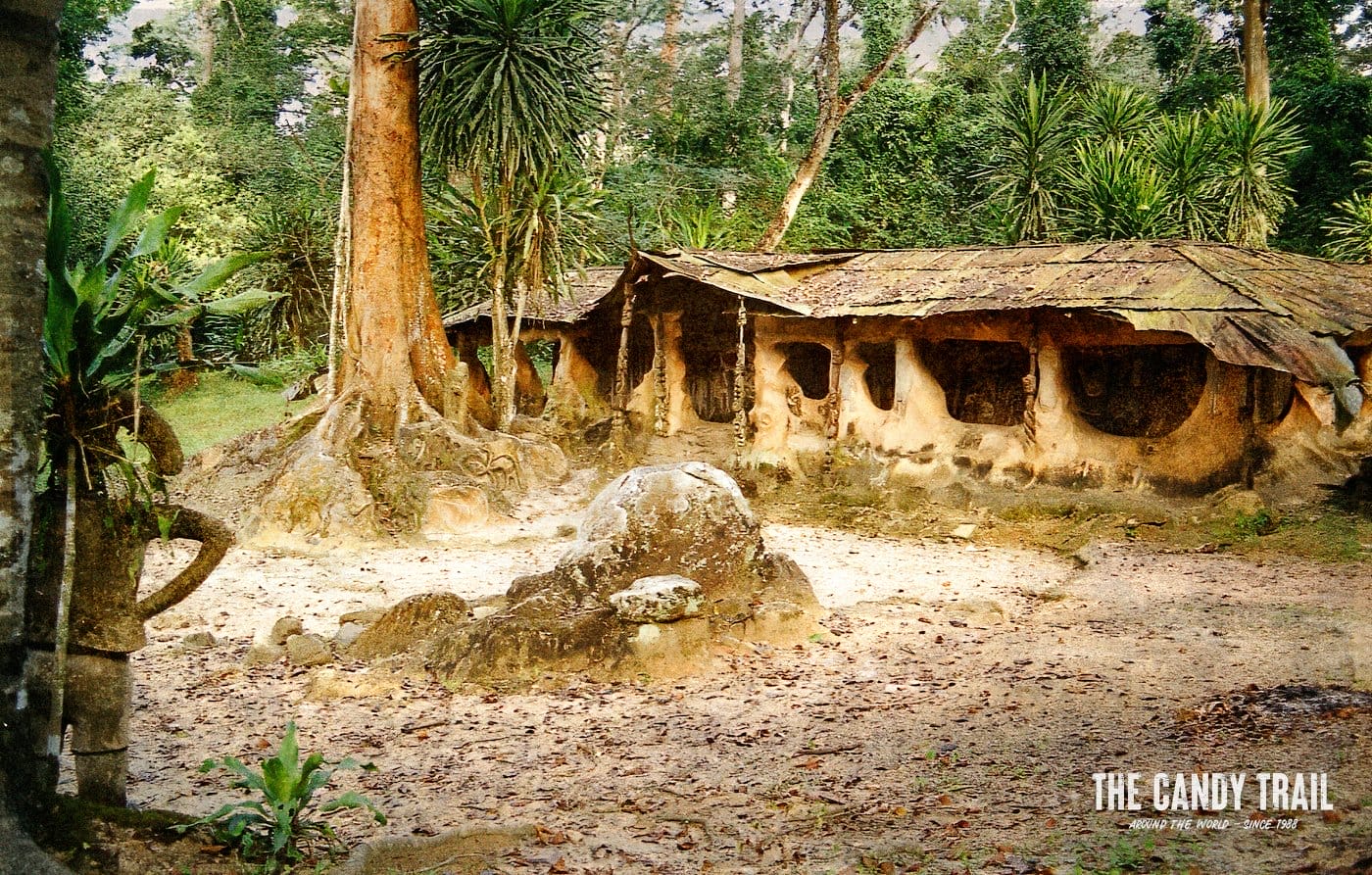 Osun-Osogbo Sacred Grove - Nigeria